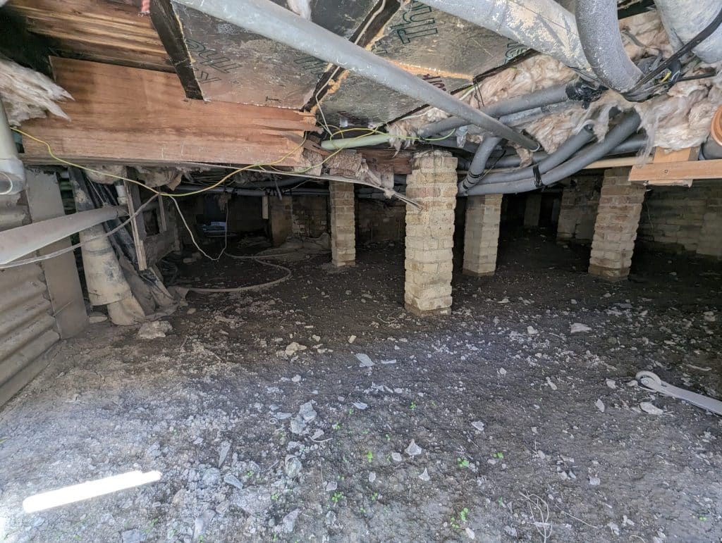 Bat Emergence Surveys for Planning | ProHort
